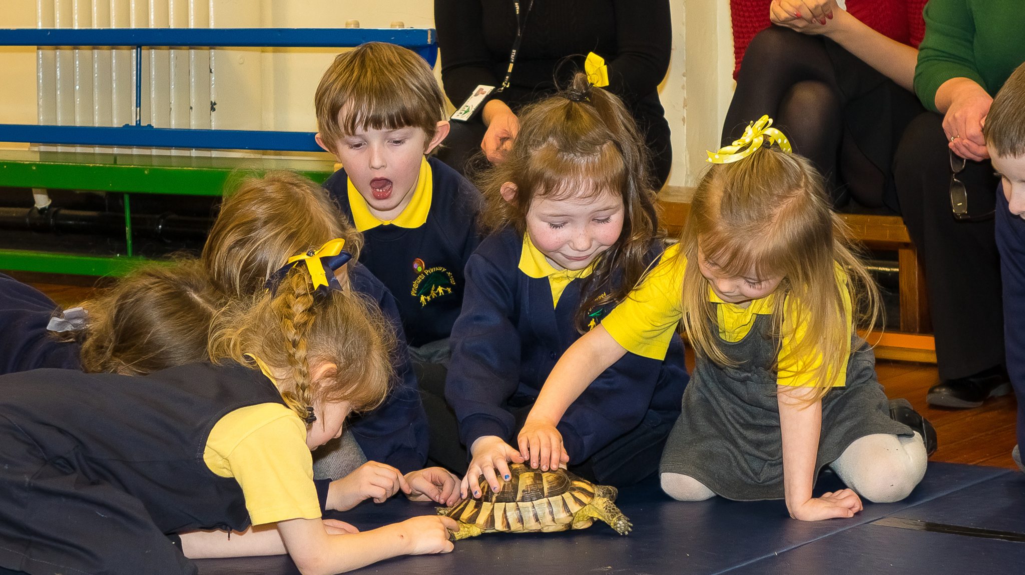 Science day - Educate magazine