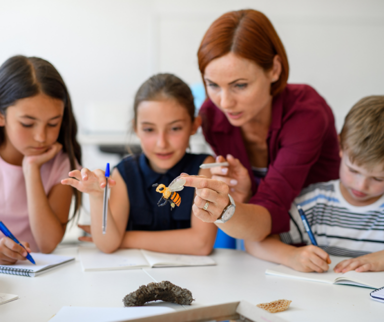 Large funding to deliver more places for children with SEND - Educate ...